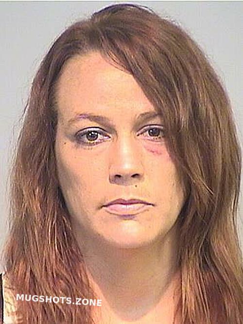 FINDLEY 10/12/2024 - Tuscaloosa County Mugshots Zone