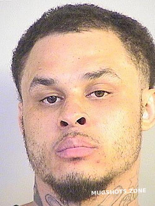 BELL JR 11/25/2024 - Tuscaloosa County Mugshots Zone