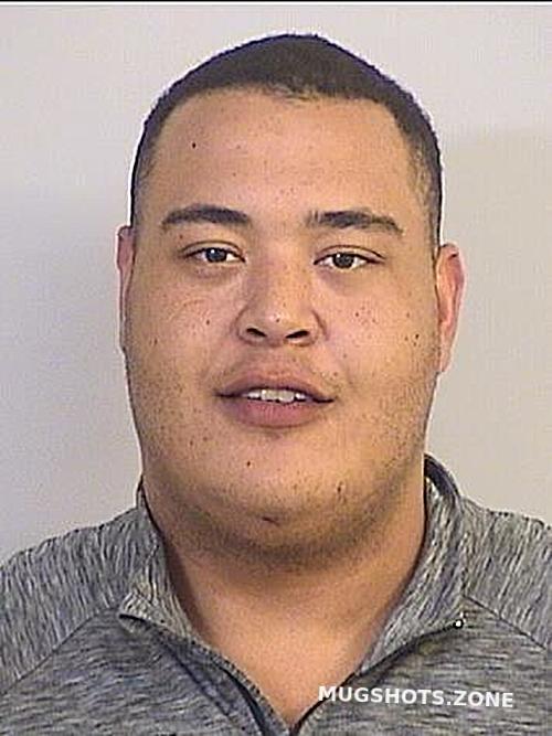 DANIELS 11/28/2024 - Tuscaloosa County Mugshots Zone