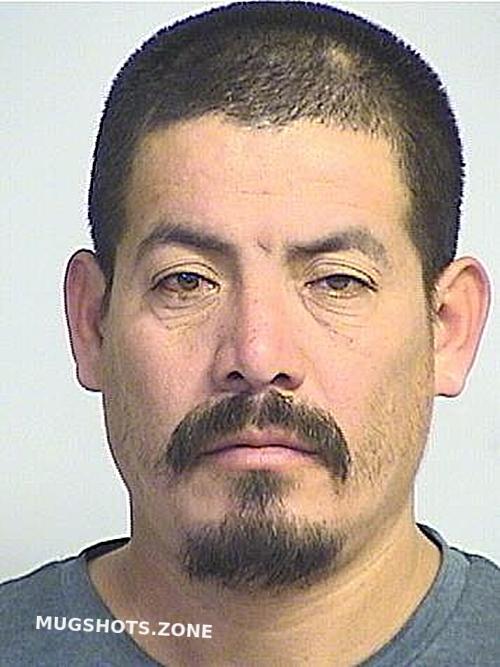 CASTILLO 12/05/2024 - Tuscaloosa County Mugshots Zone