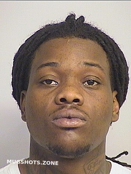 LEWIS 01/23/2025 - Tuscaloosa County Mugshots Zone