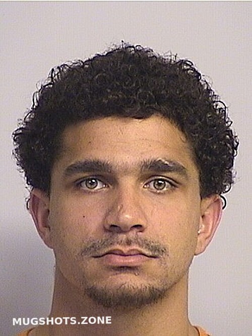 BOURQUE 02/28/2025 - Tuscaloosa County Mugshots Zone