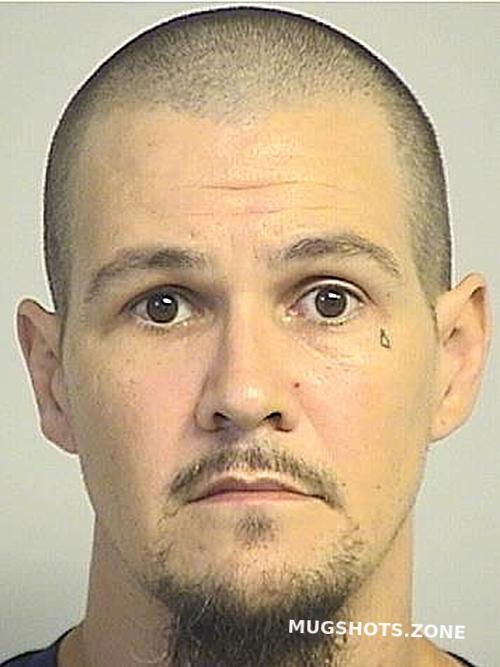 PROCTOR 03/01/2025 - Tuscaloosa County Mugshots Zone