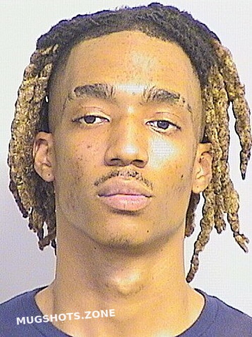 ROBINSON 03/25/2025 - Tuscaloosa County Mugshots Zone
