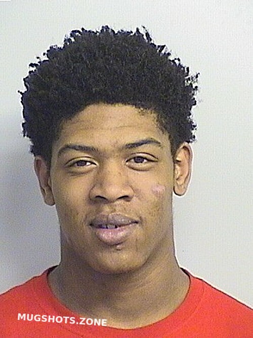 JOHNSON 04/05/2025 - Tuscaloosa County Mugshots Zone