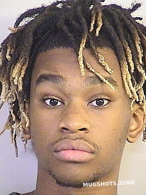 PATTERSON JR 04/10/2025 - Tuscaloosa County Mugshots Zone
