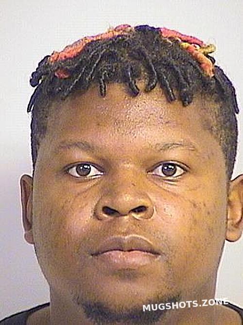 POWELL 04/15/2025 - Tuscaloosa County Mugshots Zone