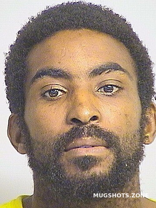 POWELL 07/01/2025 - Tuscaloosa County Mugshots Zone