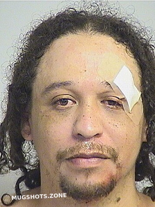 PRITCHETT JR 07/27/2025 - Tuscaloosa County Mugshots Zone