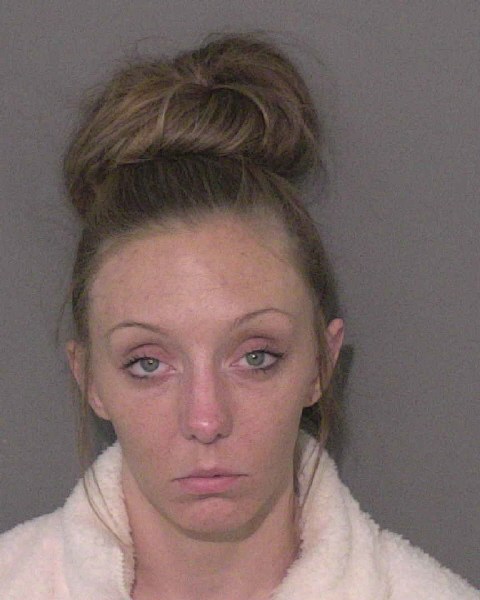 WHEELER NATALIE LARKIN 02/02/2021 - Union County Mugshots Zone