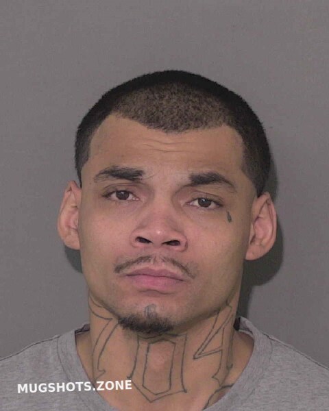 NIEVES RAYMOND LOUIS 05/13/2021 - Union County Mugshots Zone