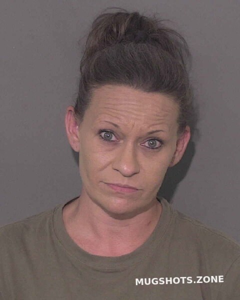 REED DIXIE DAWN 08/03/2022 - Union County Mugshots Zone