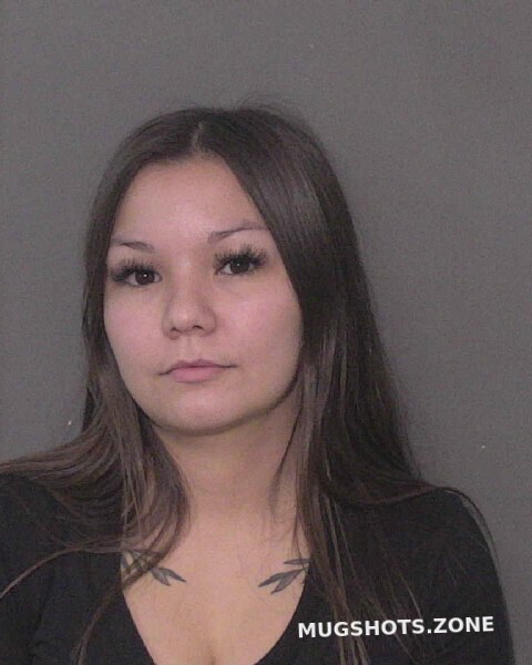 LINDENMUTH ALLISON DAWN 01/26/2023 - Union County Mugshots Zone