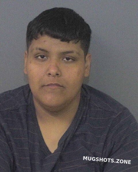 GALARZA ROSALIA 04/04/2023 - Union County Mugshots Zone