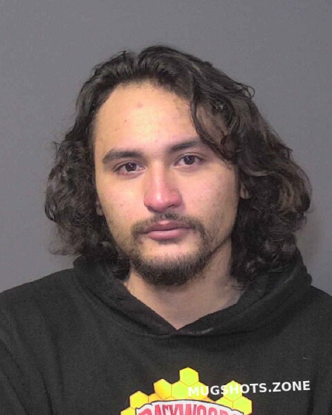 DE LA CRUZ NICHOLAS BRYAN 04/10/2024 - Union County Mugshots Zone