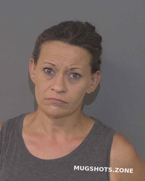 REED DIXIE DAWN 06/13/2024 - Union County Mugshots Zone