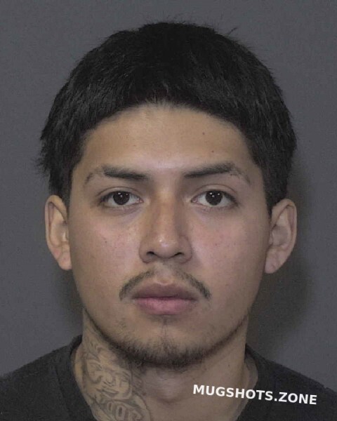 ARCE EDWIN CONTRERAS 01/28/2025 - Union County Mugshots Zone