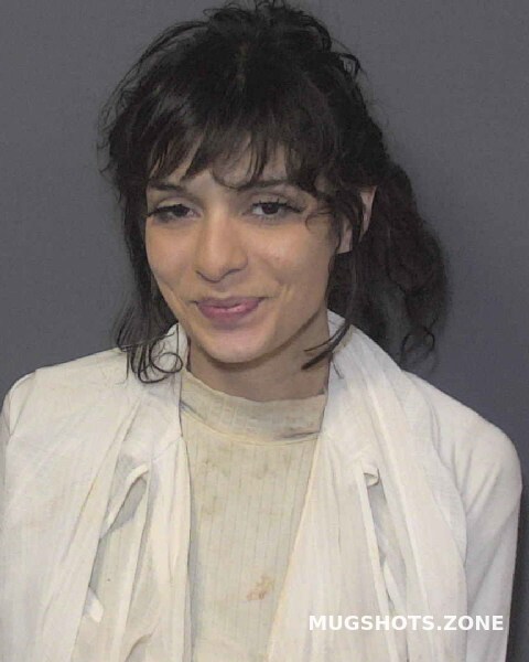 COSTEA ANA MARIA 03/14/2025 - Union County Mugshots Zone