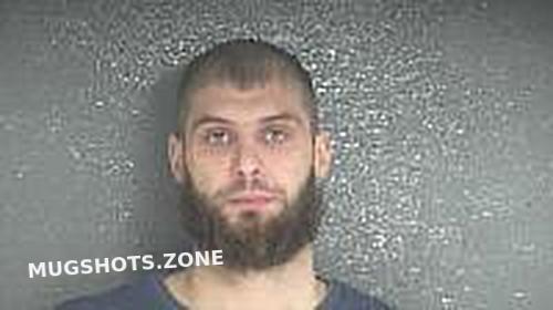 LUDWIG MATTHEW LYLE 02/20/2021 - Van Buren County Mugshots Zone