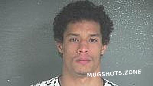 BARTH ZAVIER MICHAEL 07/04/2022 - Van Buren County Mugshots Zone