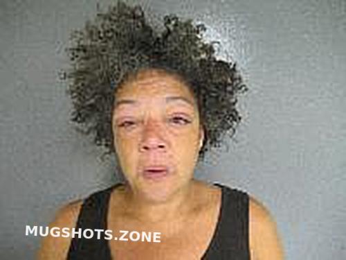 PUGA APRIL MICHELLE 09/02/2022 - Van Buren County Mugshots Zone