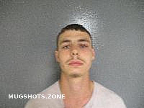 ALLISON JACOB RYAN 10/07/2022 - Van Buren County Mugshots Zone