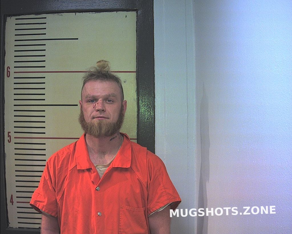 HOLT BRENDYN SCOTT 02/04/2021 - Van Zandt County Mugshots Zone
