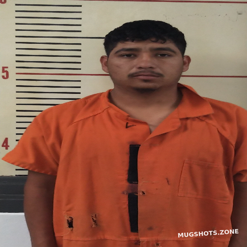 ESQUIVEL-GARCIA RICARDO MIGUEL 10/03/2022 - Van Zandt County Mugshots Zone