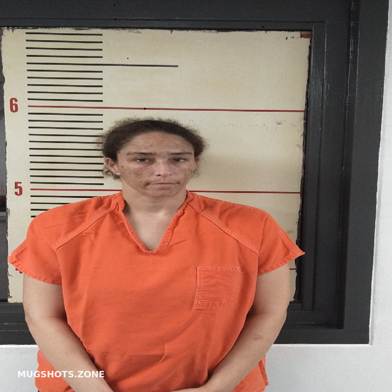 Land Renay Nicole 01 02 2024 Van Zandt County Mugshots Zone