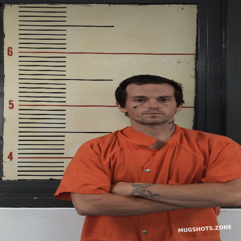 WATSON DAMON SCOTT 08/15/2024 - Van Zandt County Mugshots Zone