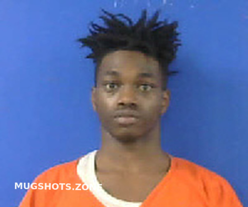 HAMPTON JAMES RAY 01/14/2025 - Van Zandt County Mugshots Zone