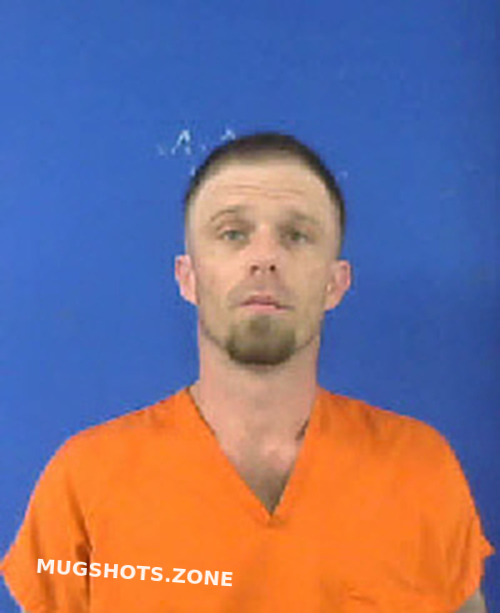 DICKSON DAVID PAUL 05/20/2025 - Van Zandt County Mugshots Zone