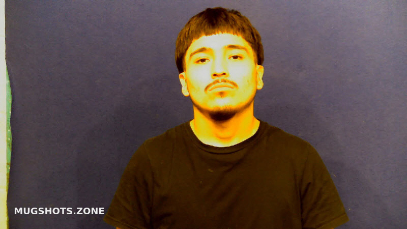 FLORES AIDEN RAY 11/16/2024 - Victoria County Mugshots Zone