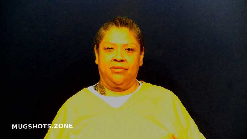 OLGUIN ELIZABETH ANN 01/01/2025 - Victoria County Mugshots Zone