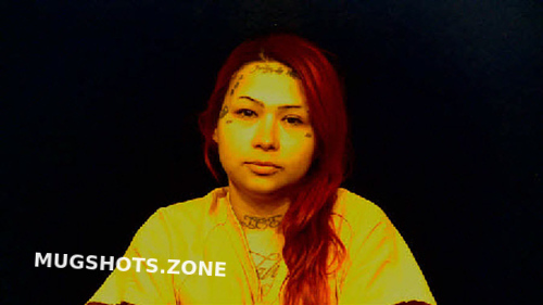 CARDENAS RUBY ANN 02/11/2025 - Victoria County Mugshots Zone