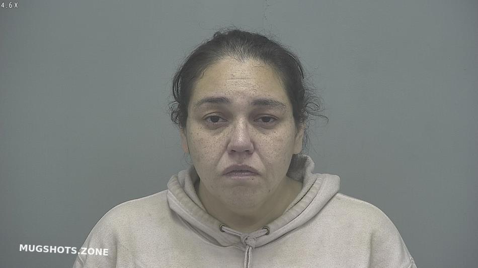 BOUSMAN HEATHER DAWN 11/26/2022 - Vigo County Mugshots Zone