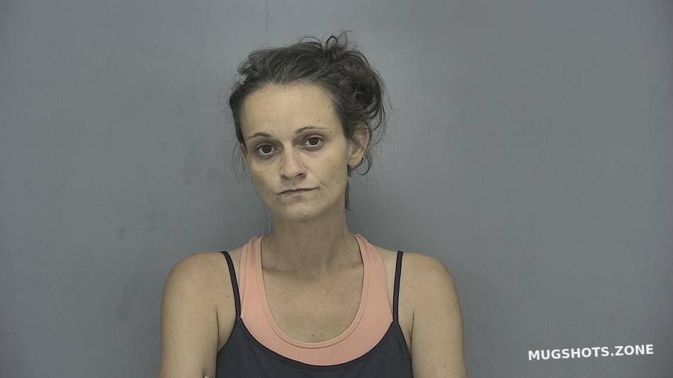 ELLINGER ASHLEY MICHELLE 07/28/2023 - Vigo County Mugshots Zone