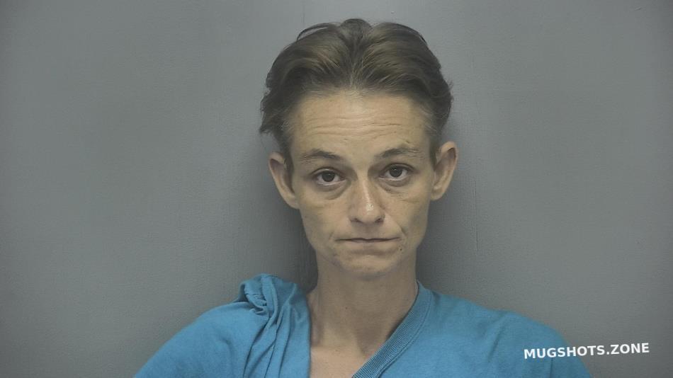 ELLINGER ASHLEY MICHELLE 08/07/2024 - Vigo County Mugshots Zone