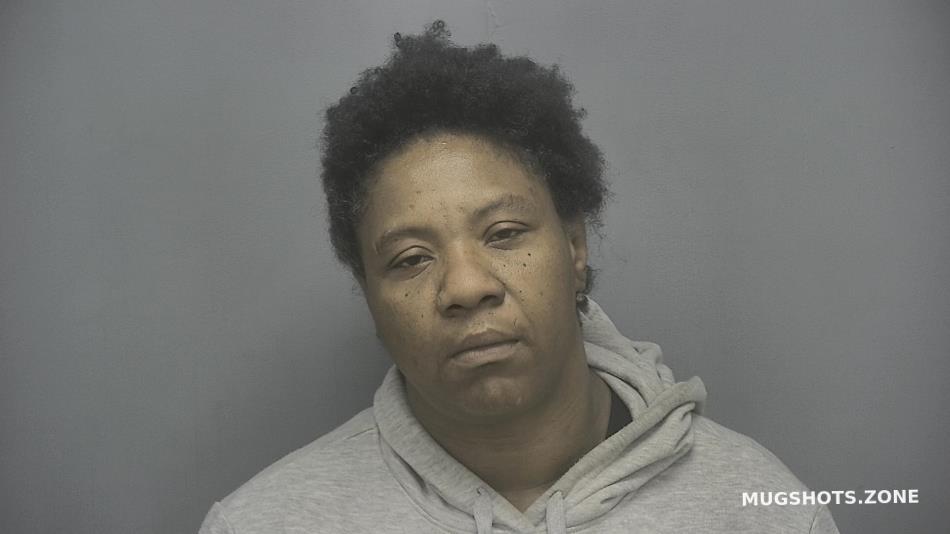 RAPIER ANGEL RAE 03/31/2025 - Vigo County Mugshots Zone