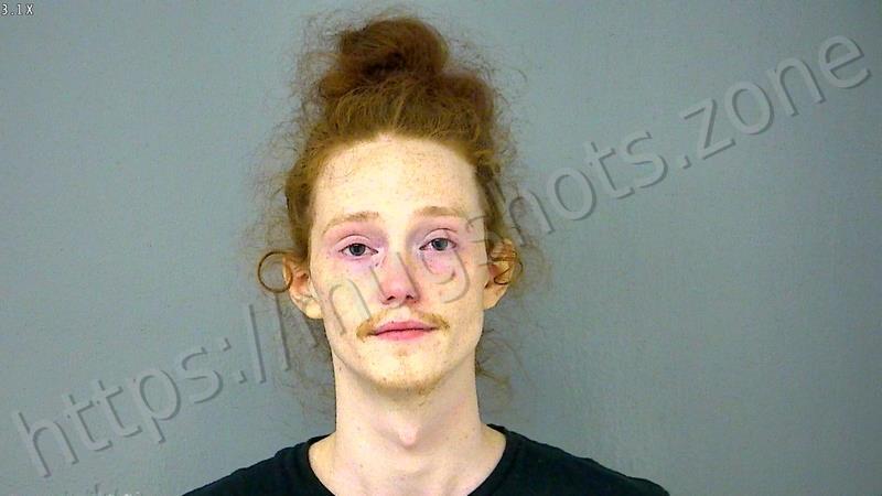 PRITT DUANE ALAN JR 05/11/2026 - Virginia Peninsula Regional Jail ...