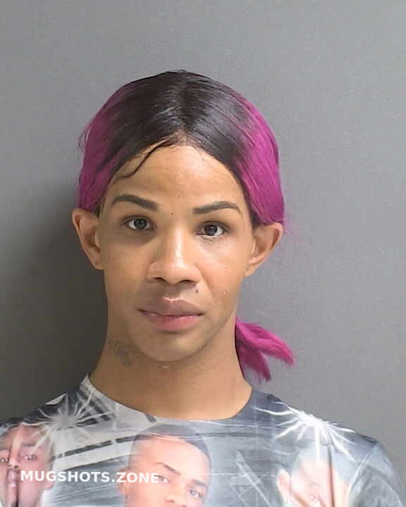 LEWIS TERRILL J 04/17/2021 - Volusia County Mugshots Zone