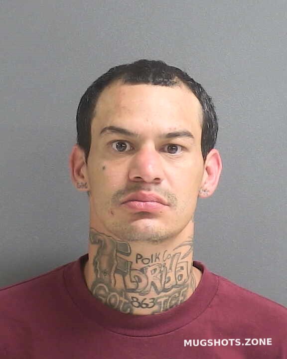 LEWIS ANDREW E 05/09/2021 - Volusia County Mugshots Zone