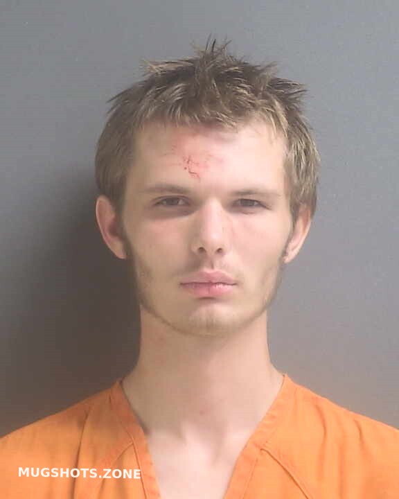 FRELAND TYLER DANE 06/17/2021 - Volusia County Mugshots Zone