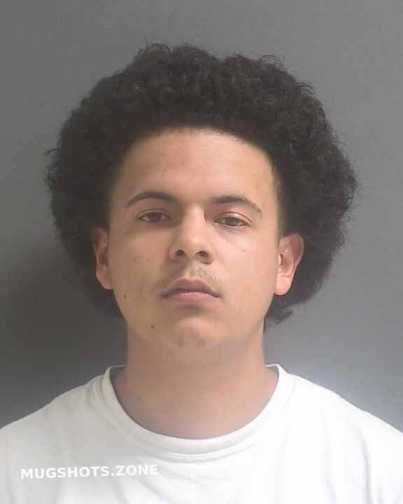 MENDOZA RENO I 06/17/2021 - Volusia County Mugshots Zone