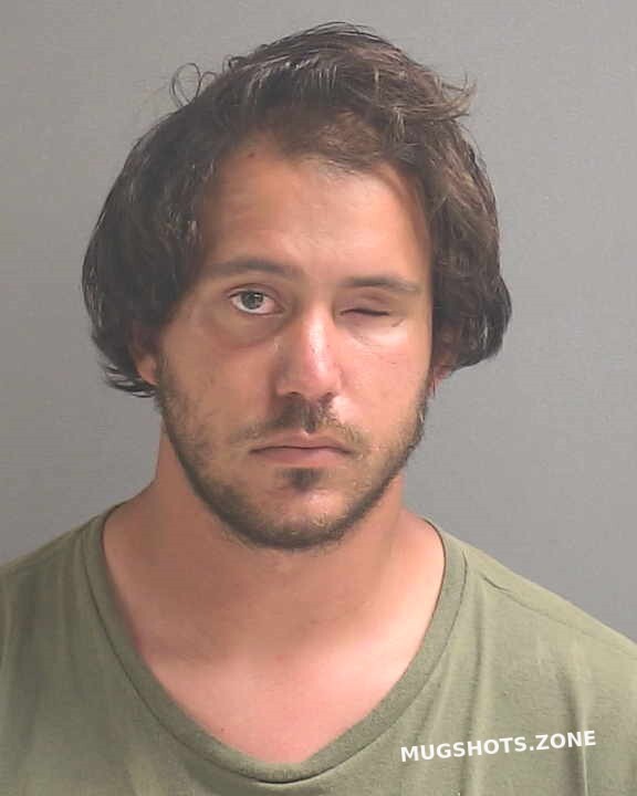 CARELLAS STEPHANOS 07/15/2021 - Volusia County Mugshots Zone