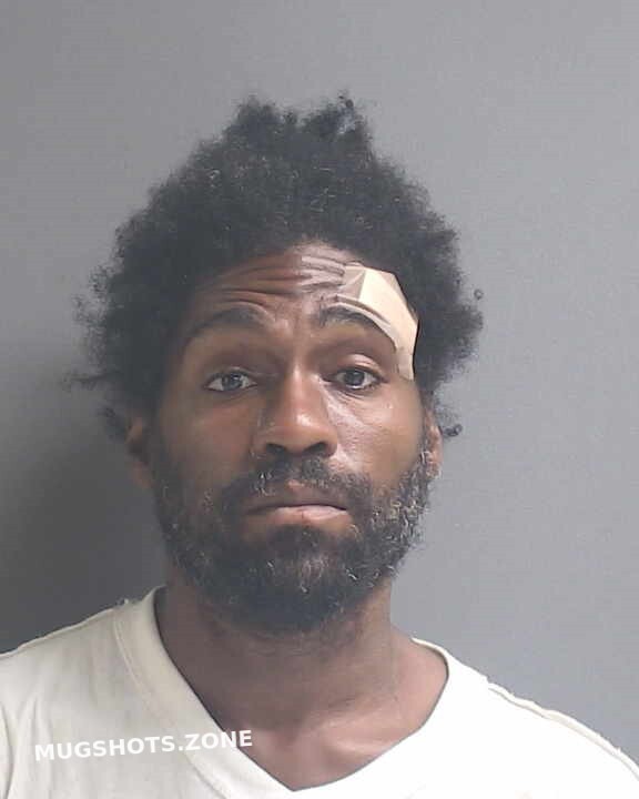 BURNHAM CALVIN 07/25/2021 - Volusia County Mugshots Zone