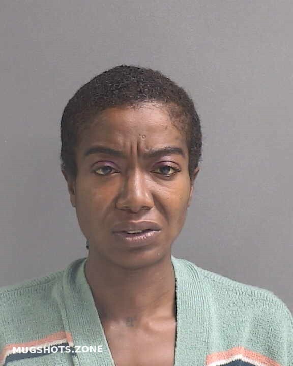 DAVIS ASHLEY R 11/13/2021 - Volusia County Mugshots Zone