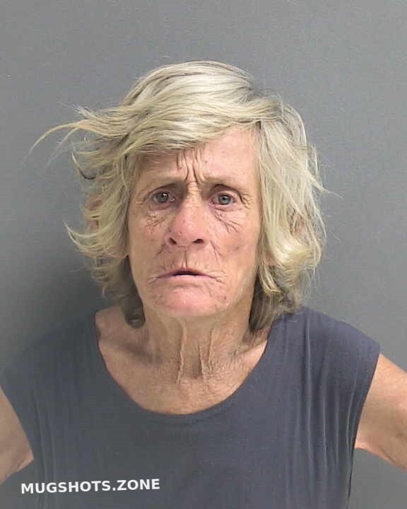Agner Teresa 11 17 2021 Volusia County Mugshots Zone
