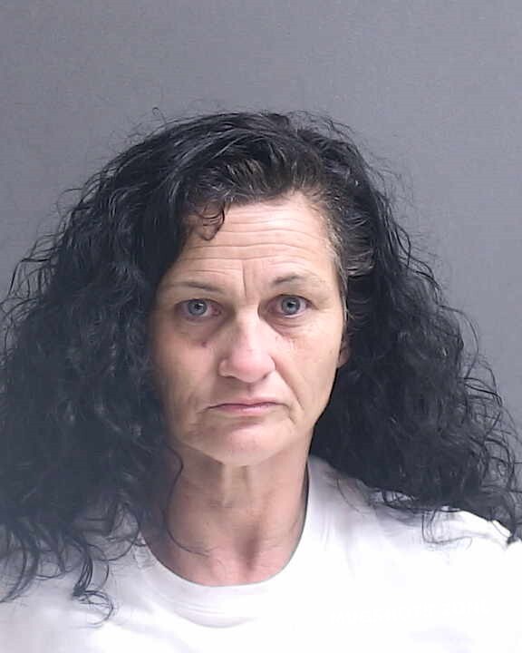 FINDLEY LISA RENEE 02/09/2022 - Volusia County Mugshots Zone