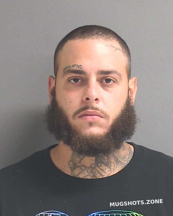 ROLON SEBASTIAN 05/24/2022 - Volusia County Mugshots Zone